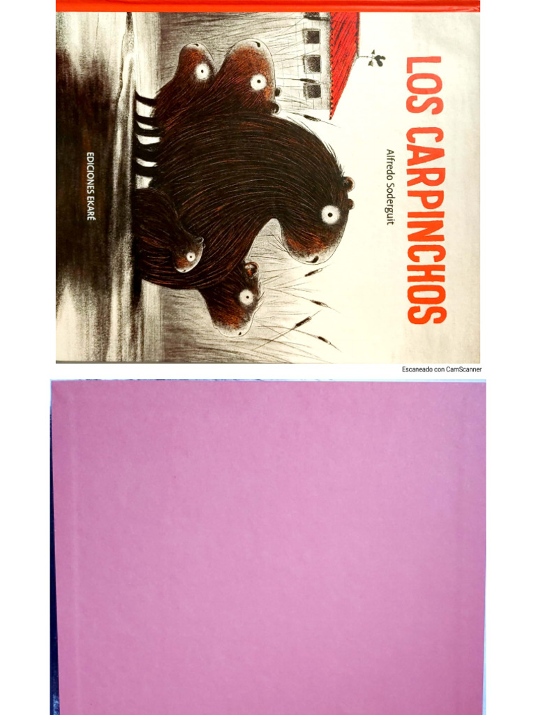 X 17 Los Carpinchos | PDF
