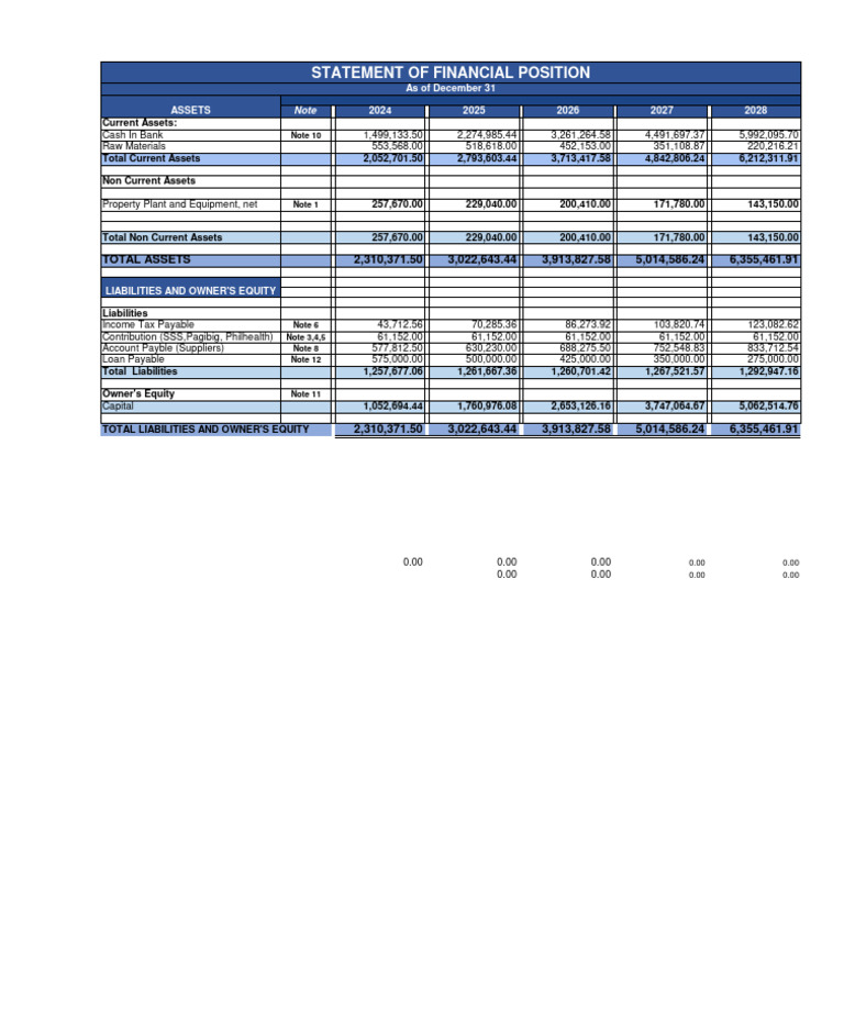 Financial Position Statement 2024-2028 | PDF | Business | Finance ...
