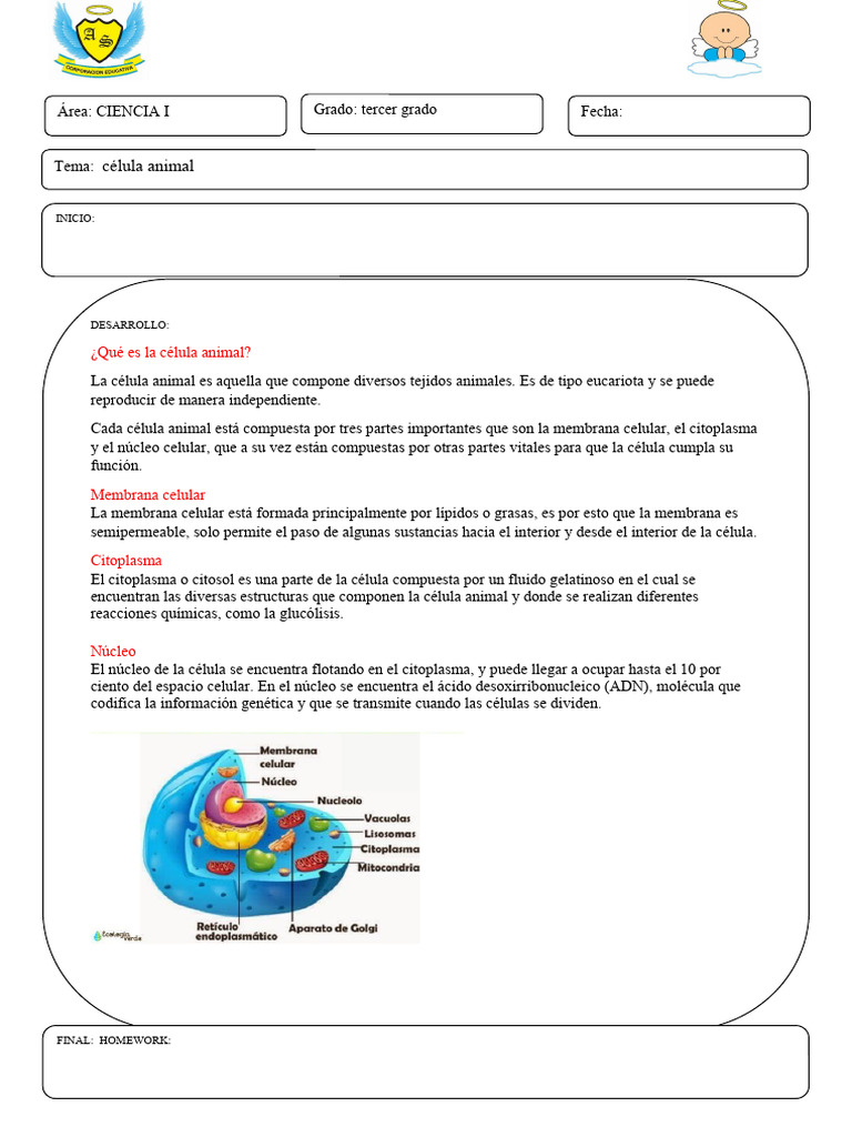 DIARIO Ciencias I Celula Animal y Vegetal | PDF | Biología Celular ...