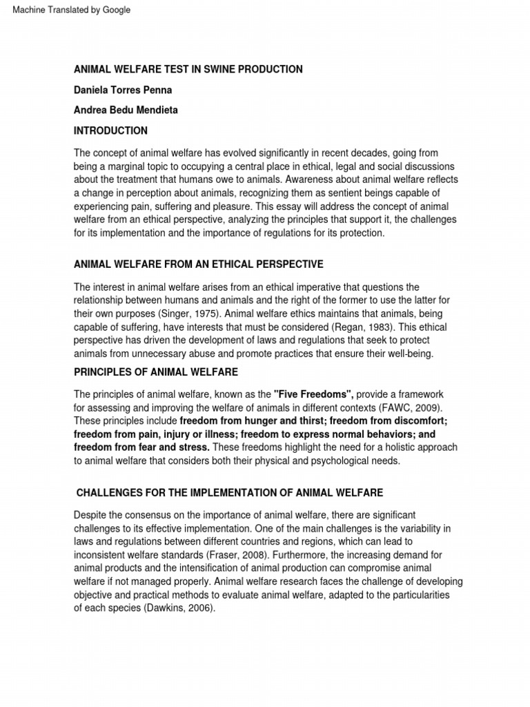 Ensayo de Bienestar Animal Ingles.. | PDF | Animal Welfare | Pig