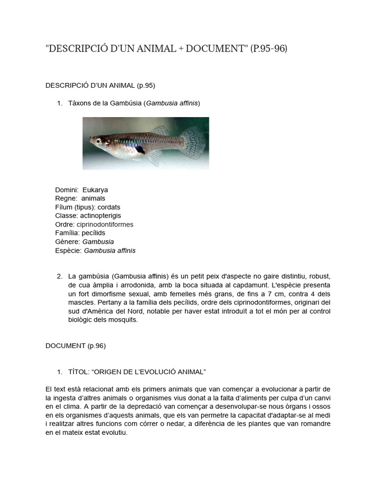 _DESCRIPCIÓ D'UN ANIMAL + DOCUMENT_ | PDF