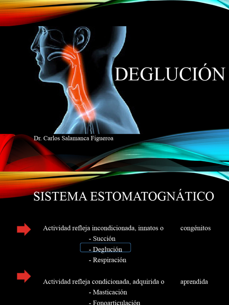 Deglución | PDF | Esófago | Anatomía humana