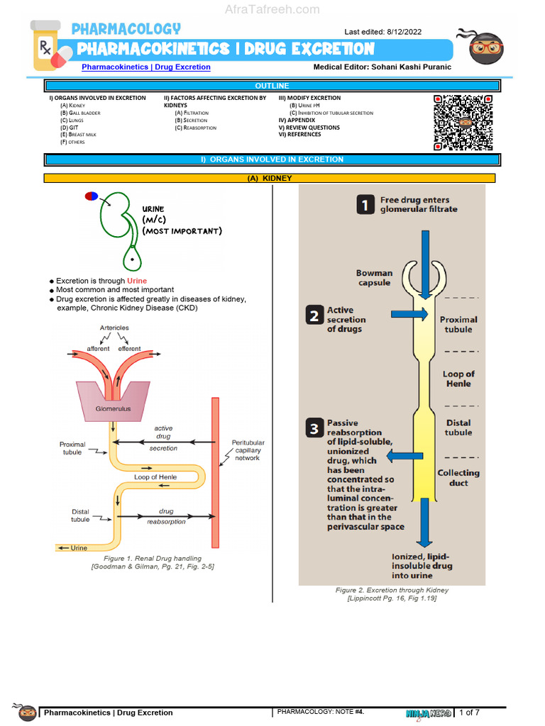 04 Drug Excretion (Notes) Atf | PDF | Kidney | Medical Specialties