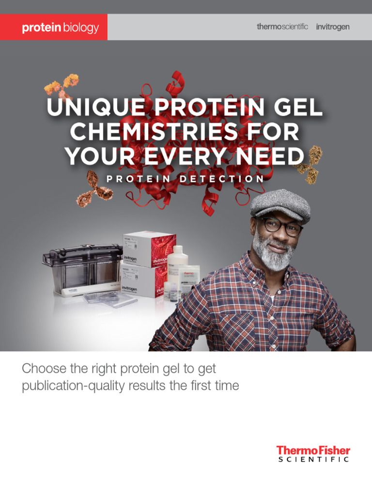 Precast Protein Gels Brochure | PDF | Gel Electrophoresis | Western Blot