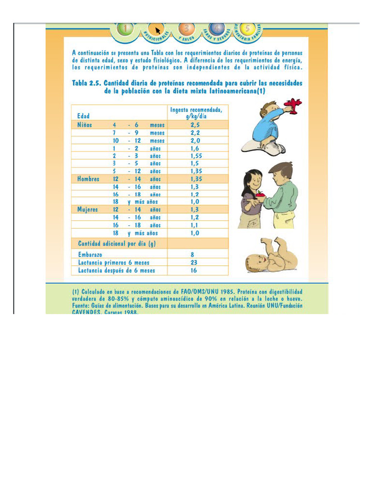 Tabla de Proteinas Fao Oms Unu | PDF