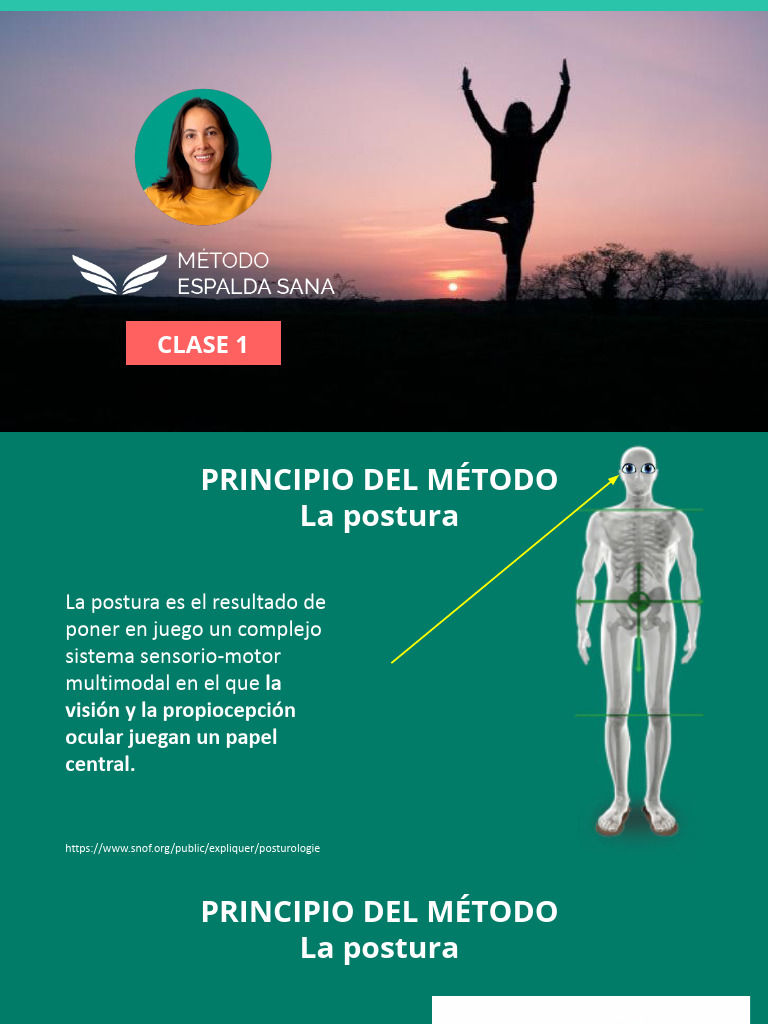 Clase1 Programa Espalda Sana | PDF | Anatomía