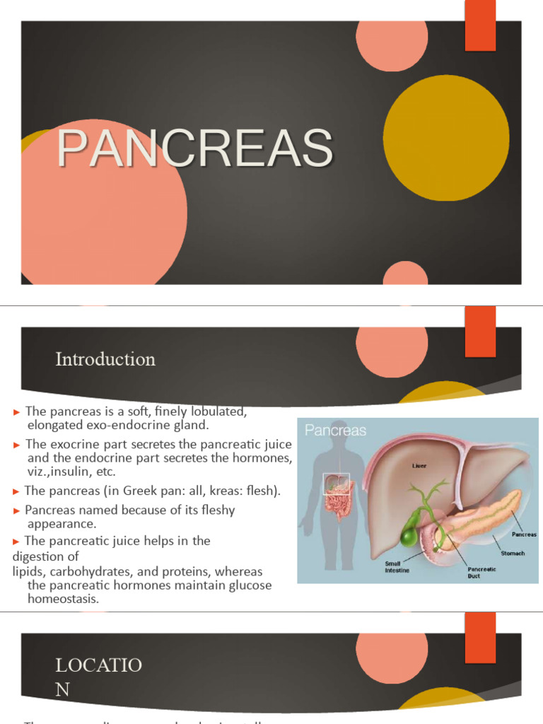 Pancreas | PDF | Pancreas | Abdomen