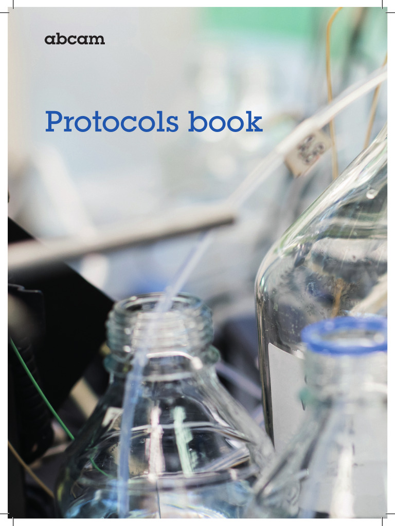 Abcam Protocols Book | PDF | Antibody | Immunoglobulin G