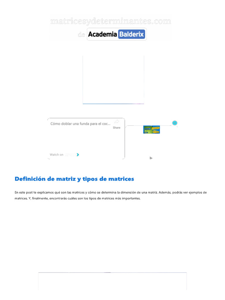 ¿Cuáles Son Todos Los Tipos de Matrices - (Con Ejemplos) | PDF