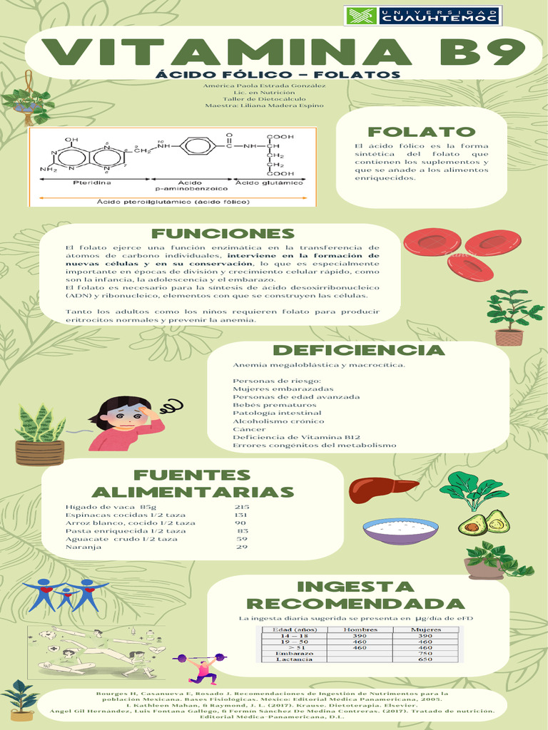 Infografía - Vitamina B9 | PDF