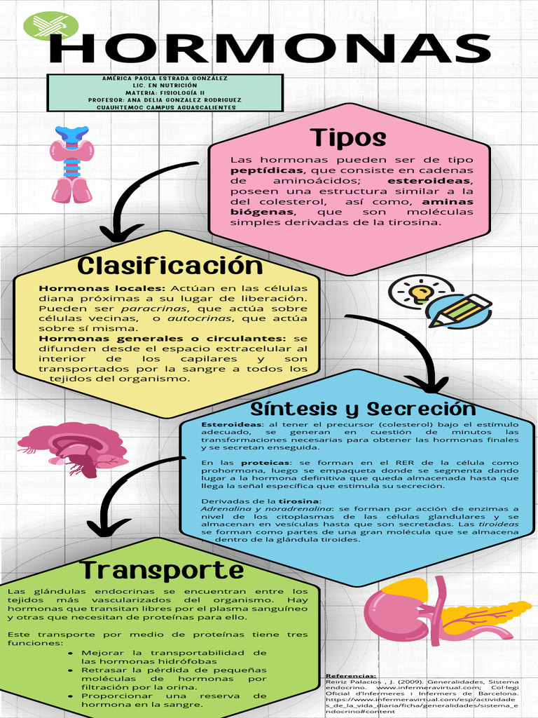Infografía. Hormonas | Descargar gratis PDF | Hormona | Sistema endocrino