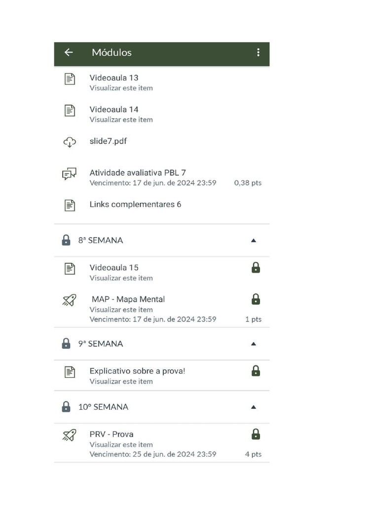 Doc1 Mapa Da Disciplina Ainda Bloqueado | PDF