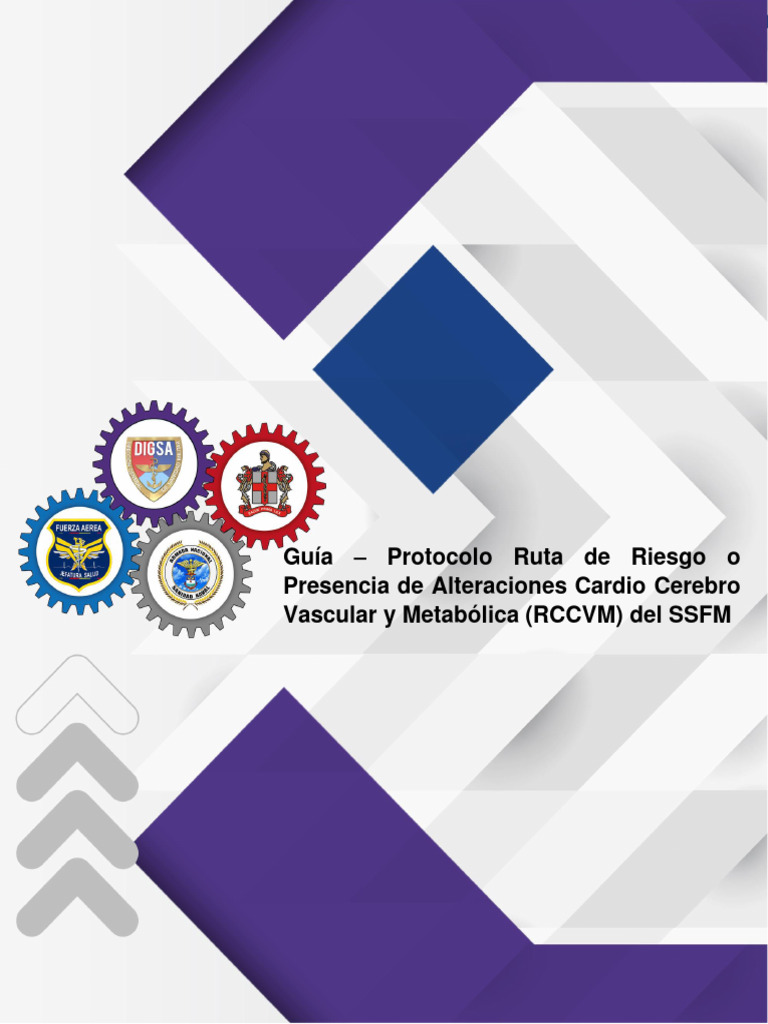 Guia Protocolo Ruta RCCVM | PDF | Lipoproteínas de baja densidad | Presión sanguínea