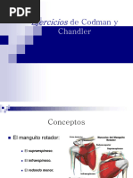Ejercicios Codman | PDF | Hombro | Articulaciones