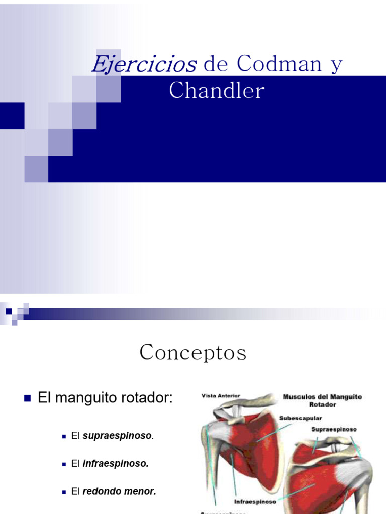 Ejercicios Codman | PDF | Articulaciones | Sistema musculoesquelético