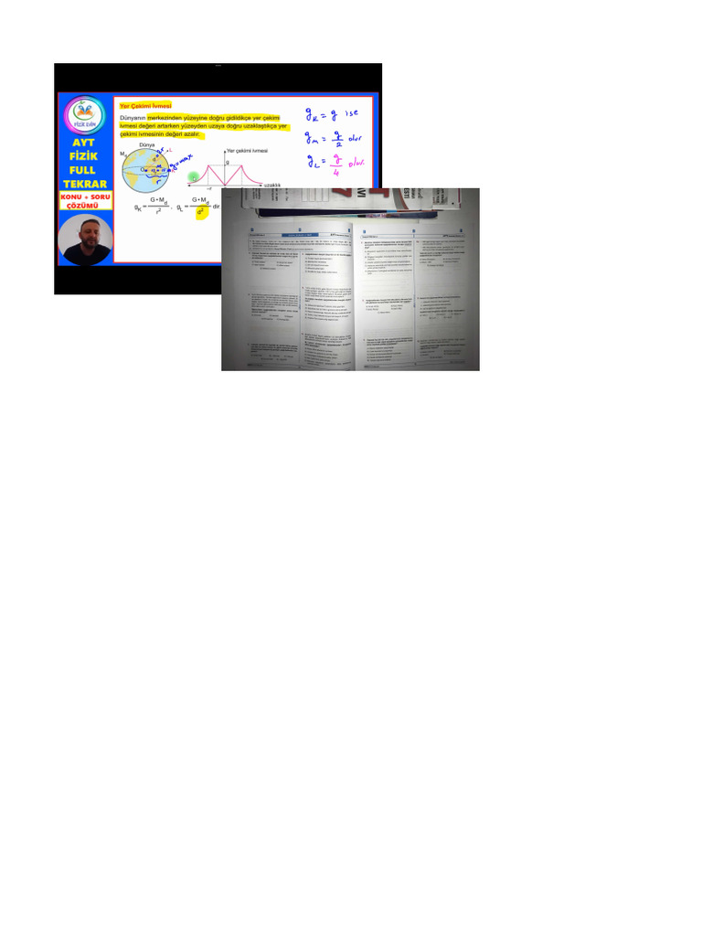 Bingus | PDF