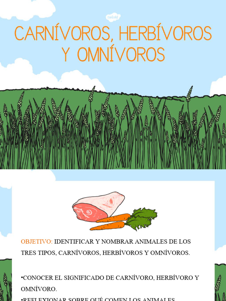 Identificando Herbivoros Carnivoros y Omnivoros | PDF | Carne | Herbívoro