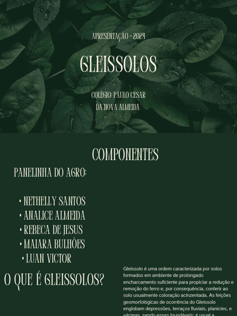 Gleissolos 2°agroecologia (A) Nethelly Dos Santos | PDF | Geociências ...