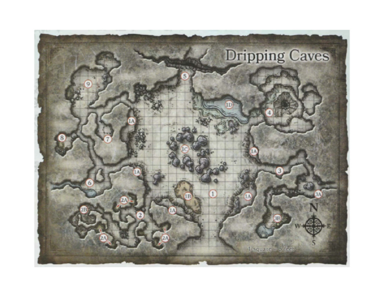 Dripping Caves | PDF