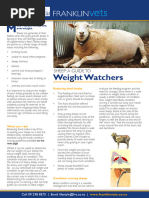 Rabbit Size-O-Meter Weight Guide | PDF | Obesity | Dieting