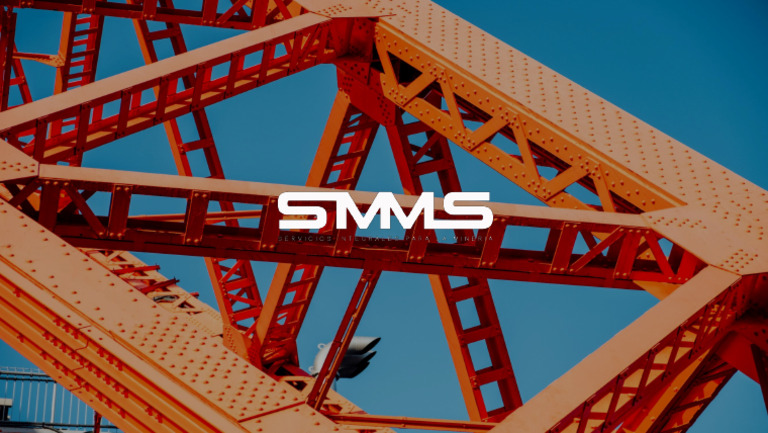 Presentación1 SMMS | PDF