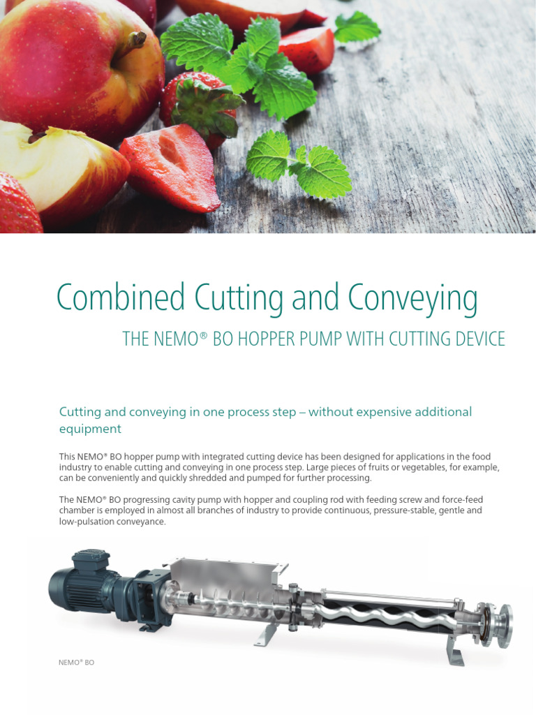 NETZSCH 314 NEMO BO Hopper Progressing Cavity Pump With Cutting Device Flyer EN US | PDF | Pump ...