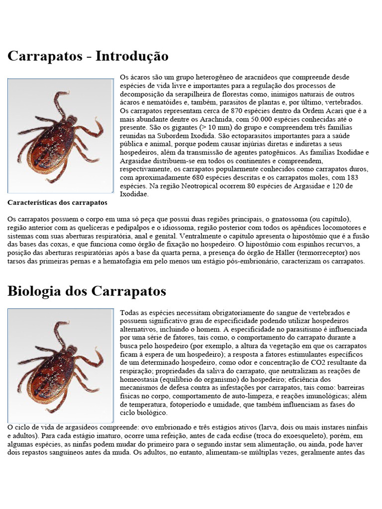 Carrapatos | PDF | Parasitismo | Biologia