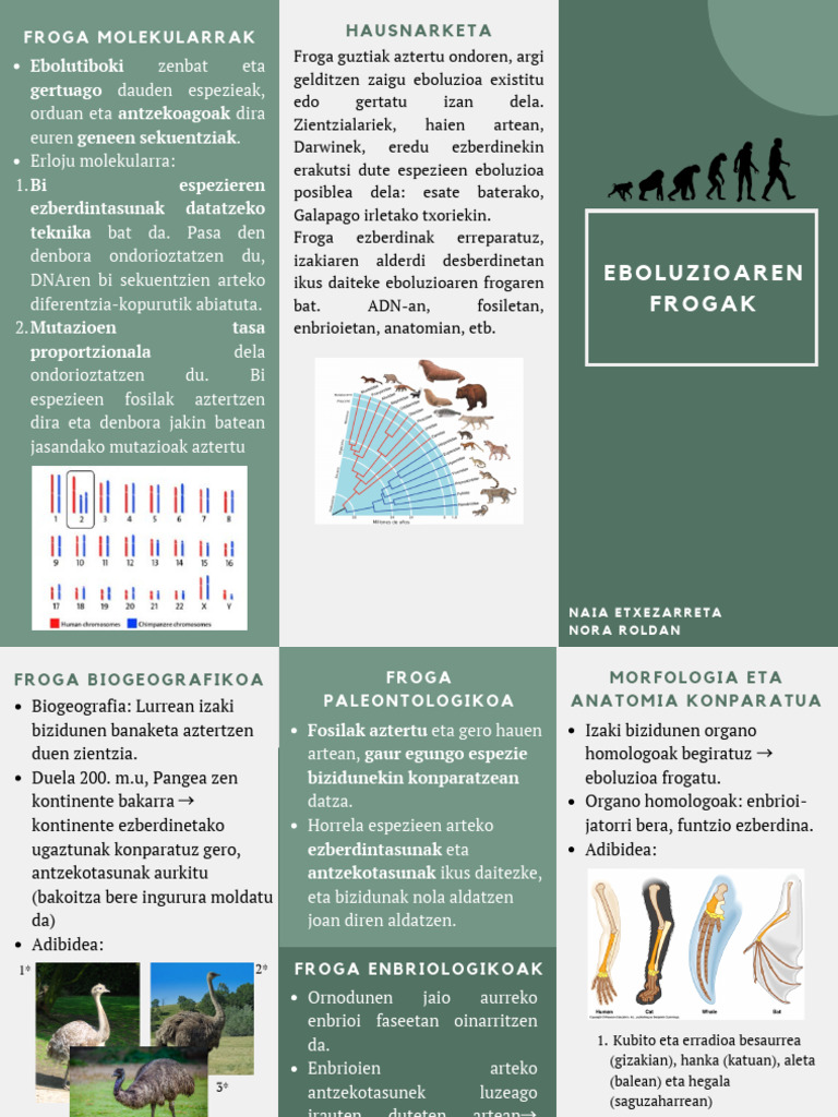 Triptikoa Biogeo | PDF