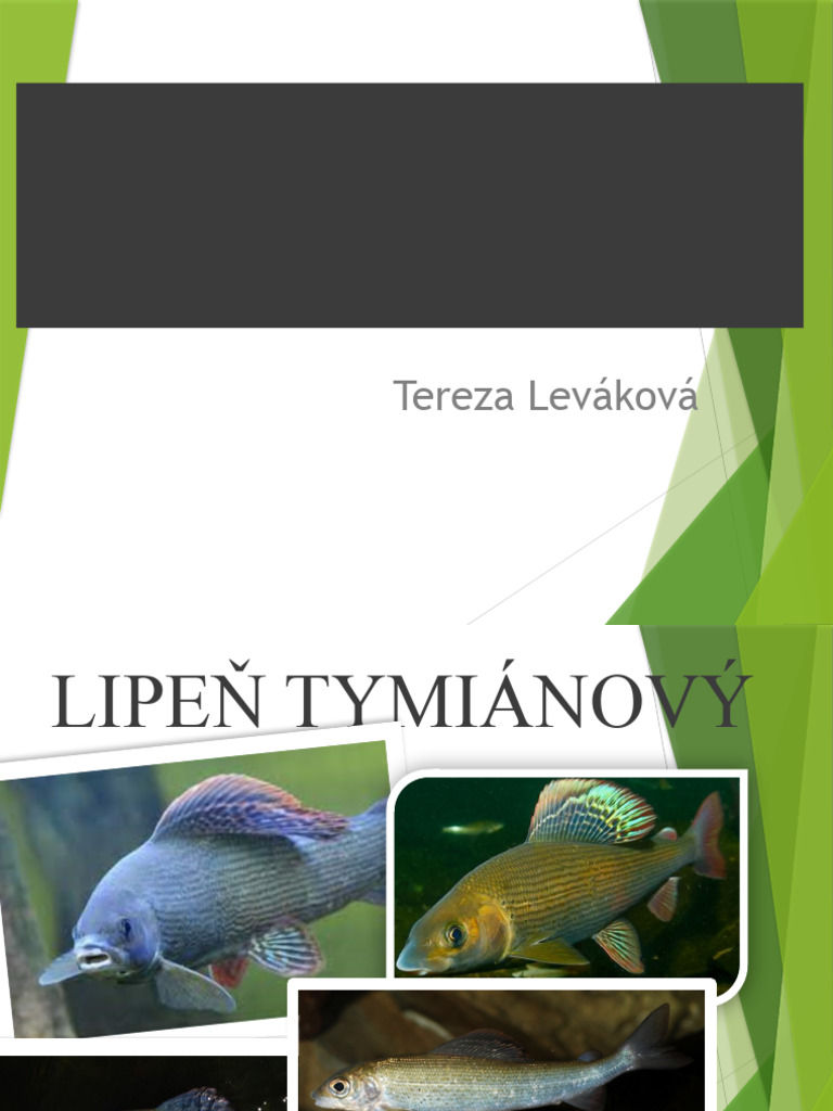 Vodne Stavovce | PDF