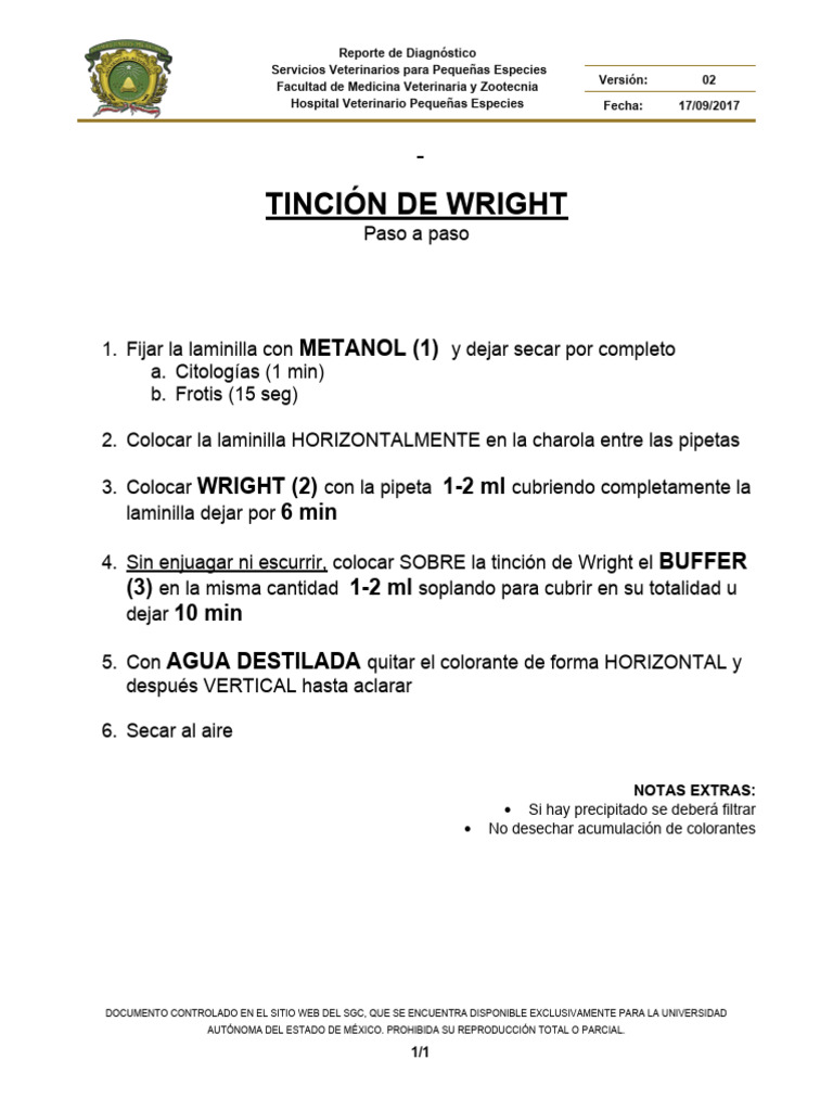Tincion de Wright | PDF