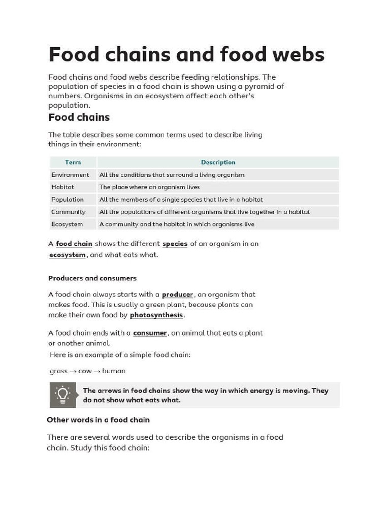 Food Chain and Food web-Science-Biology | PDF