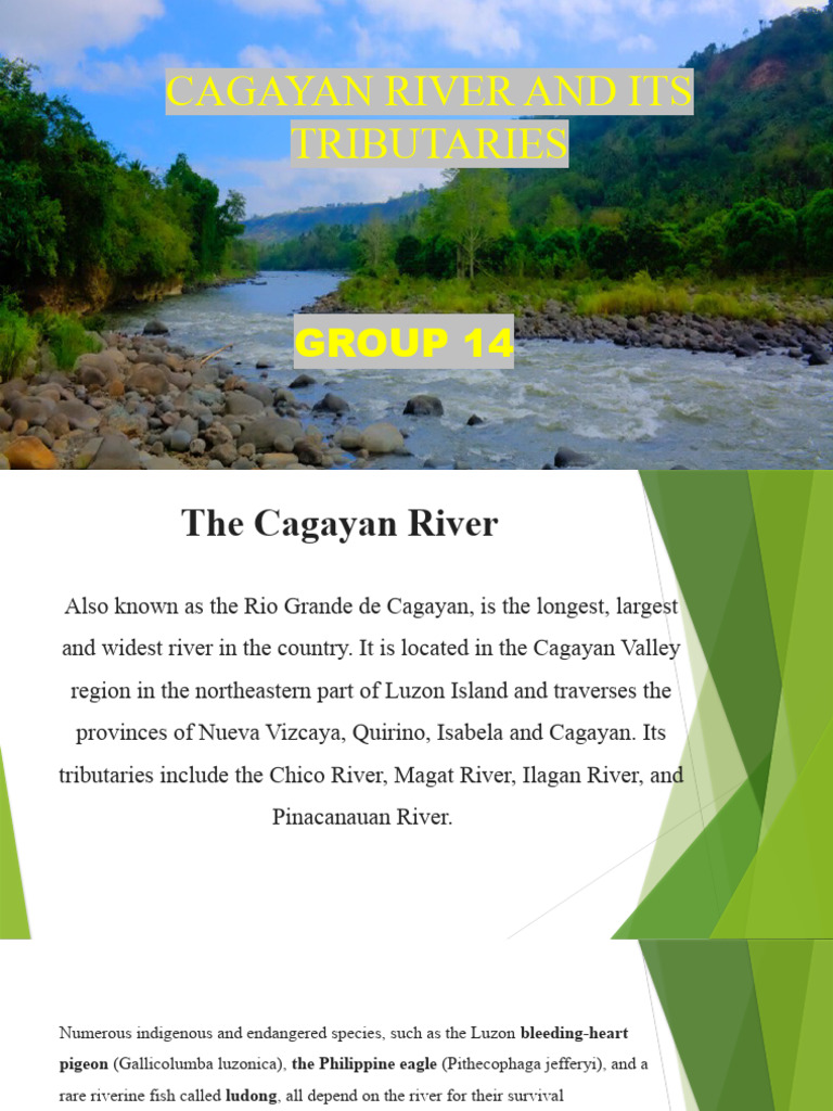 Edited - CAGAYAN RIVER AND ITS TRIBUTARIES GROUP 14 | PDF ...