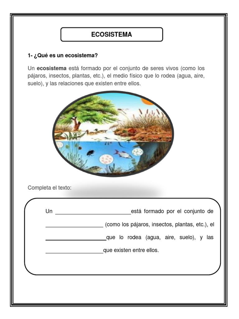 ECOSISTEMA | PDF | Ecosistema | Suelo