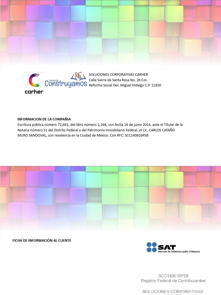 Cis Visanet Carher Fun | PDF