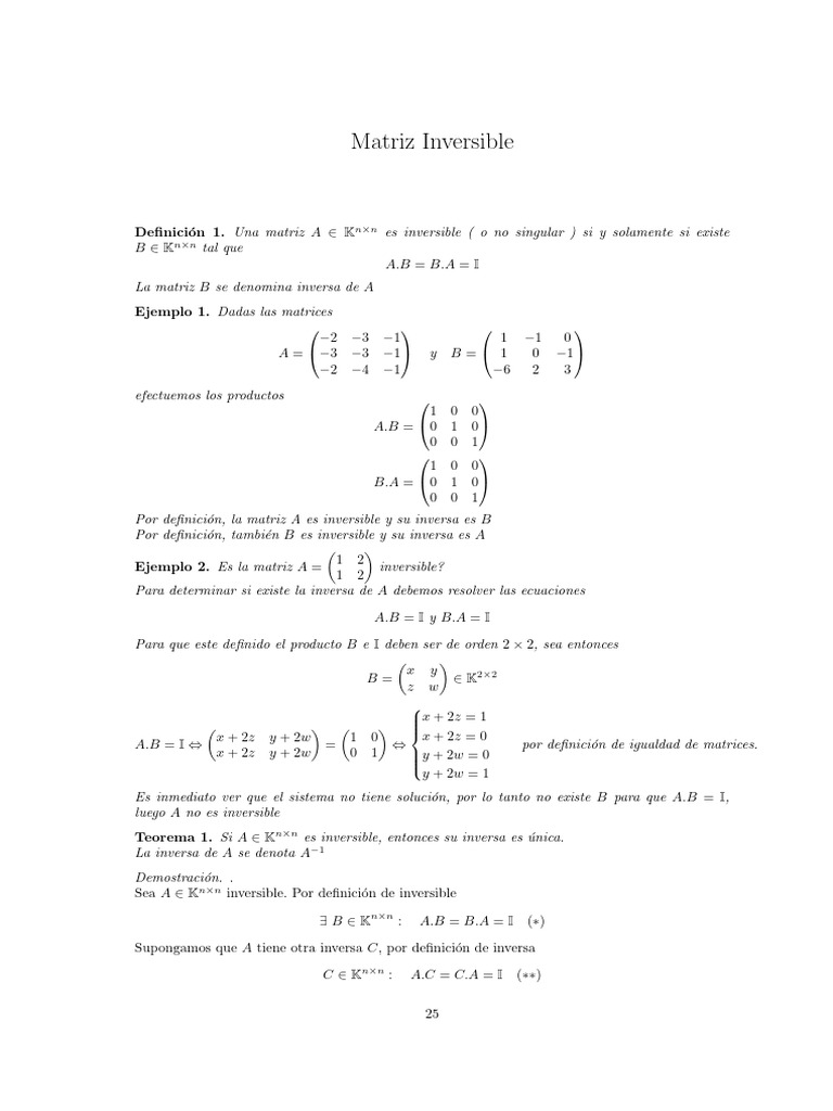Matrices 5 | Descargar gratis PDF | Matriz (Matemáticas) | Álgebra