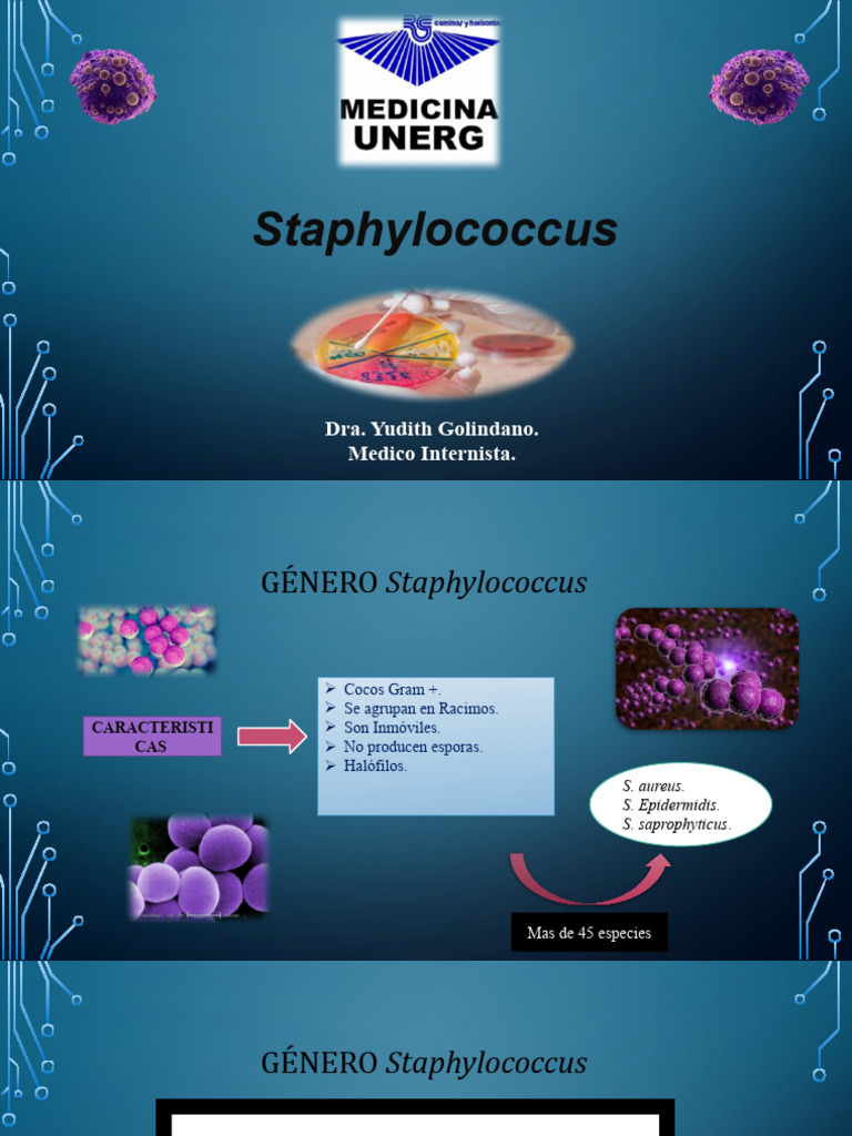 Staphylococcus | PDF | Staphylococcus Aureus | Microbiología