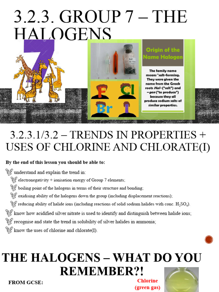 Group 7 - The Halogens | Download Free PDF | Chlorine | Iodine