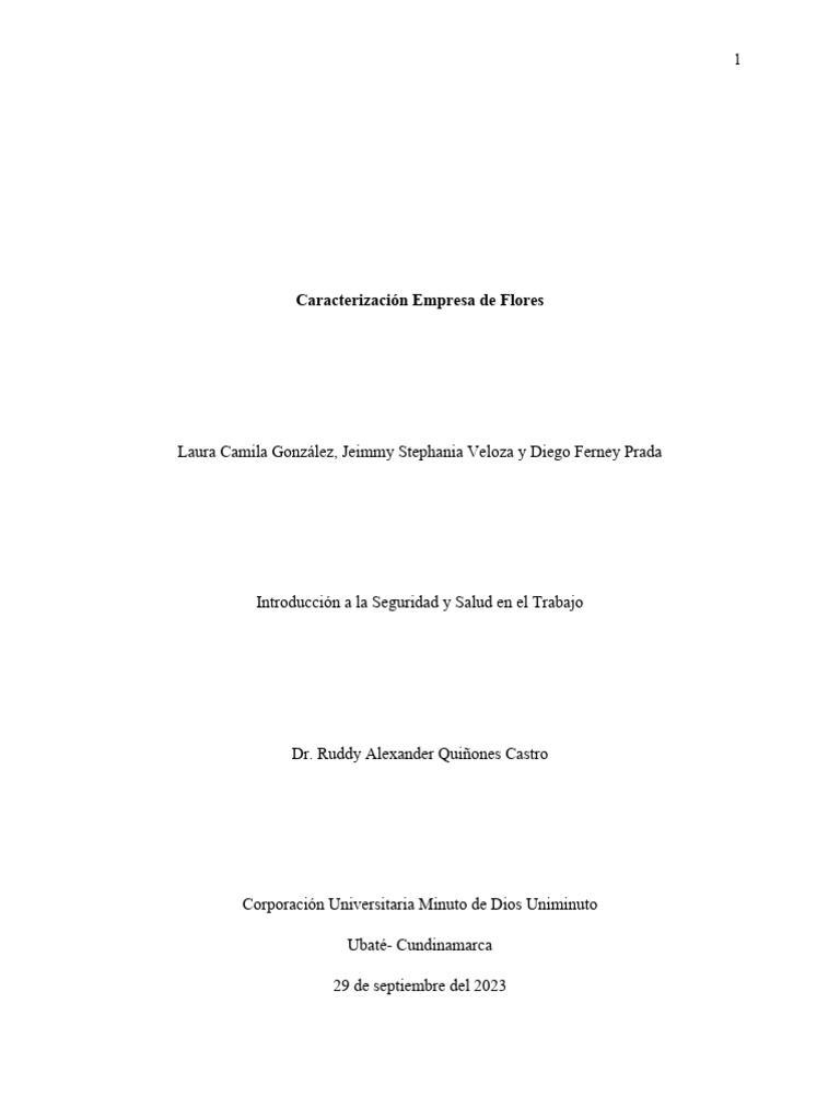 Conceptos Basicos de La SST | PDF | Salud y bienestar