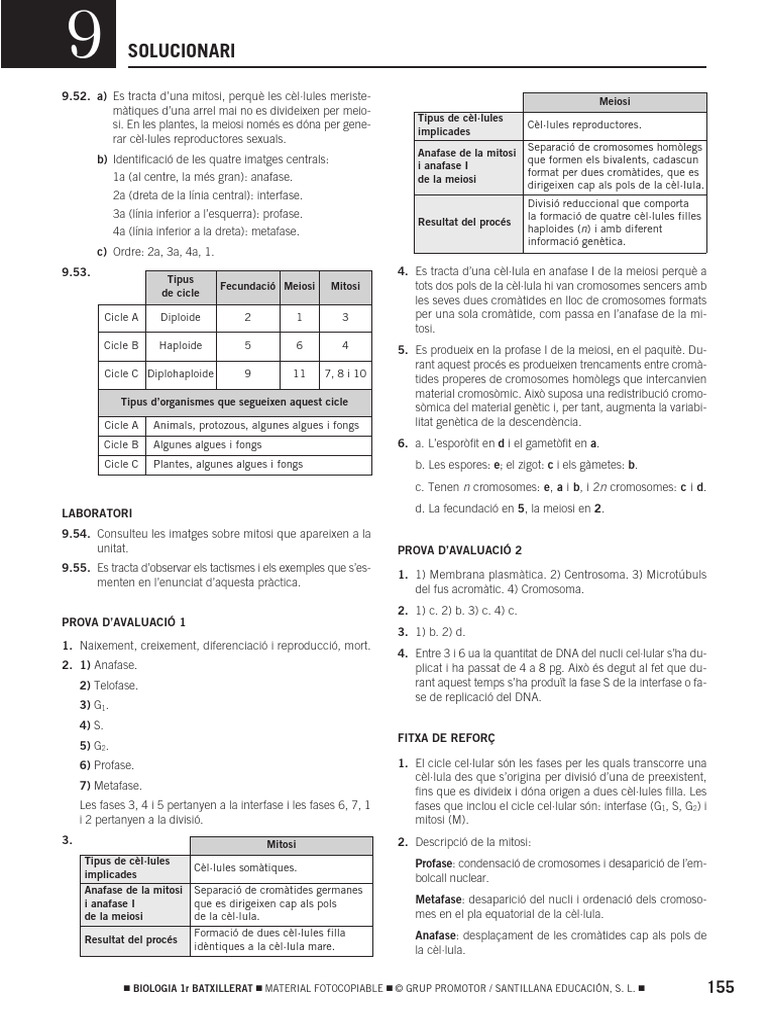 Solucions - Més Exercicis | PDF
