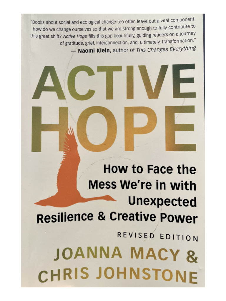 Macy and Johnstone Reading | PDF