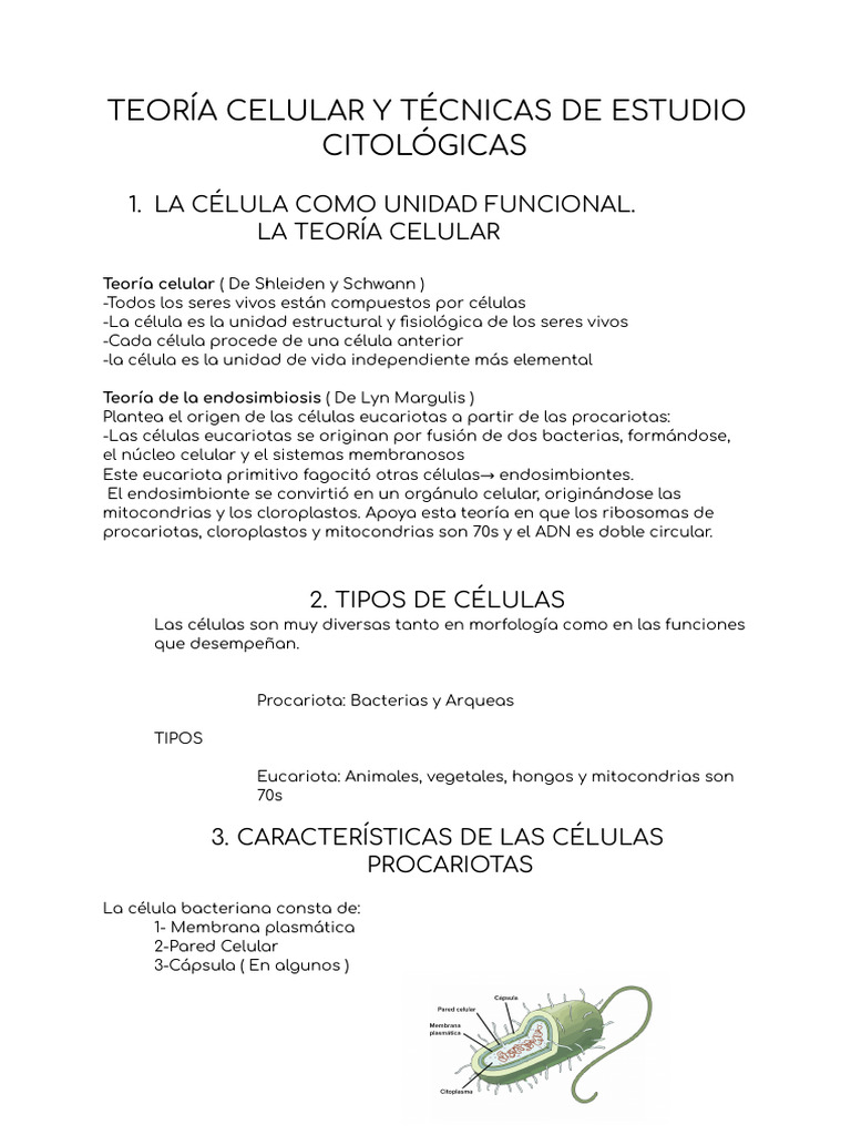 Teoría Celular y Tipos de Células | PDF | Biología Celular) | Las bacterias