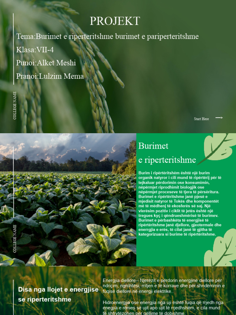 Alket Meshi | PDF