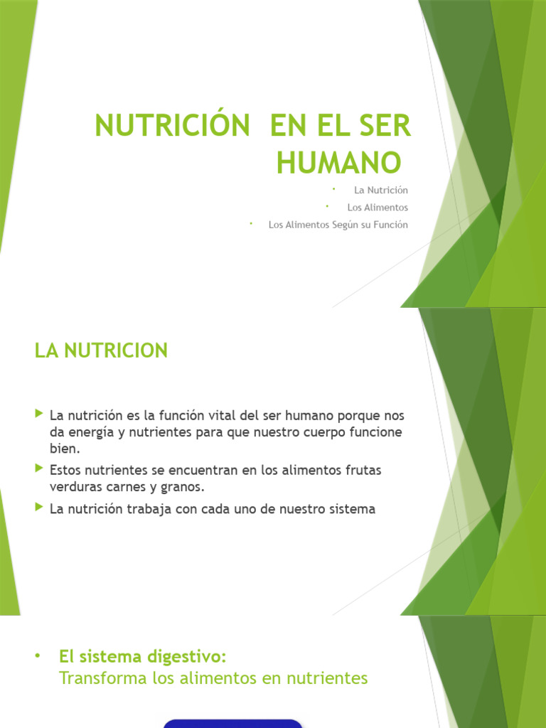 Nutricion en El Ser Humano Alex Isa Salo | PDF
