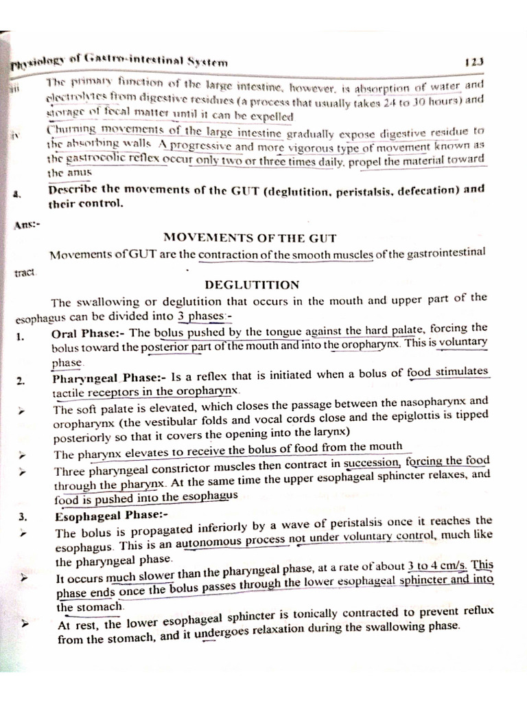 Movement of Gut | PDF