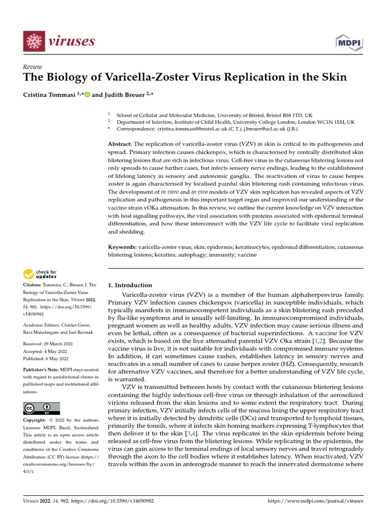 Viruses 14 00982 v2 | PDF | Epidermis | Virus