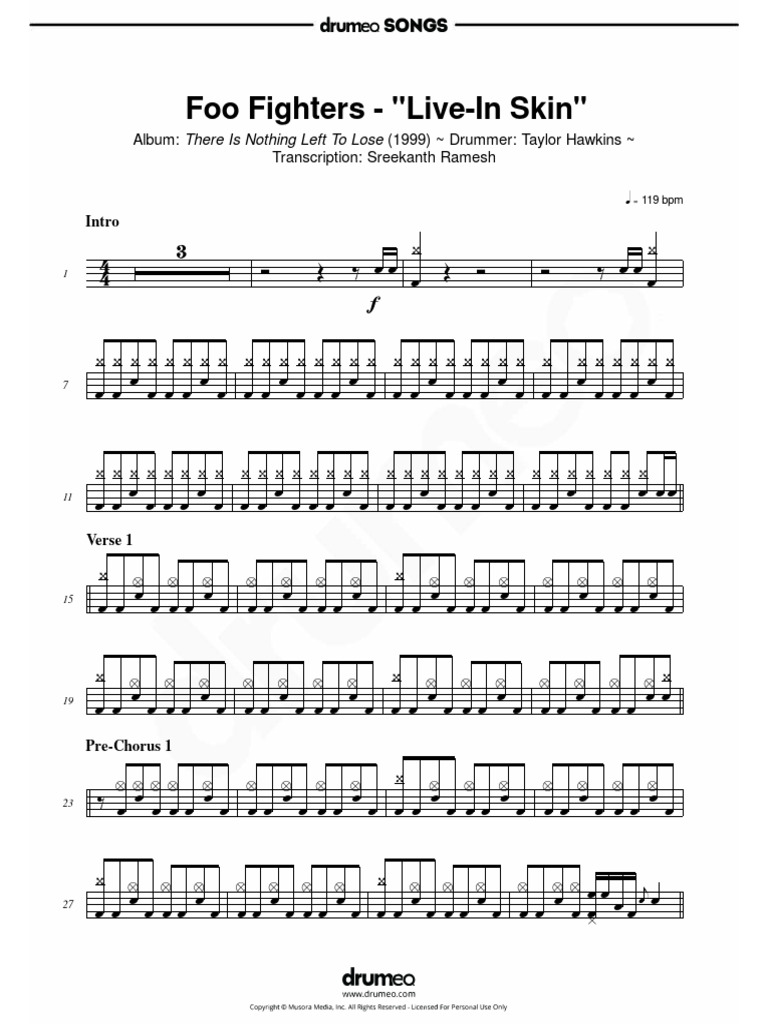 Foo Fighters Livein Skin | PDF