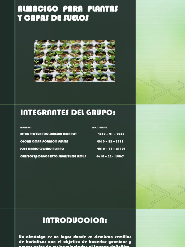 Almacigo para Plantas y Capas de Suelos | PDF | Suelo | Vegetales