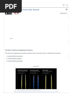 The Burke Lateropulsion Scale and Addressing Pusher Syndrome Post-Cva 1 ...