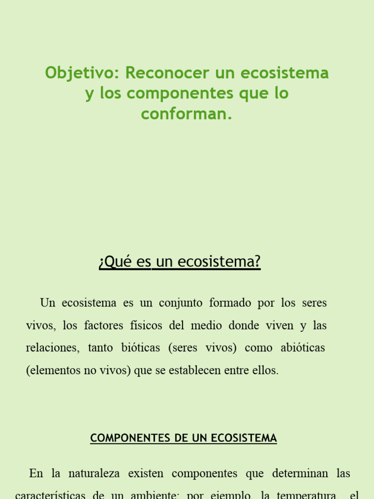 Componentes de un Ecosistema: Bióticos y Abióticos | PDF | Ecosistema ...