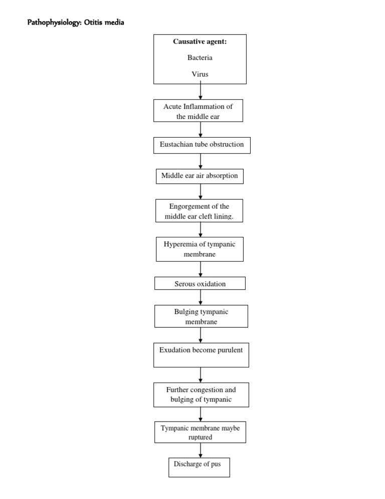 Pathophysiology: Otitis Media: Causative Agent | PDF